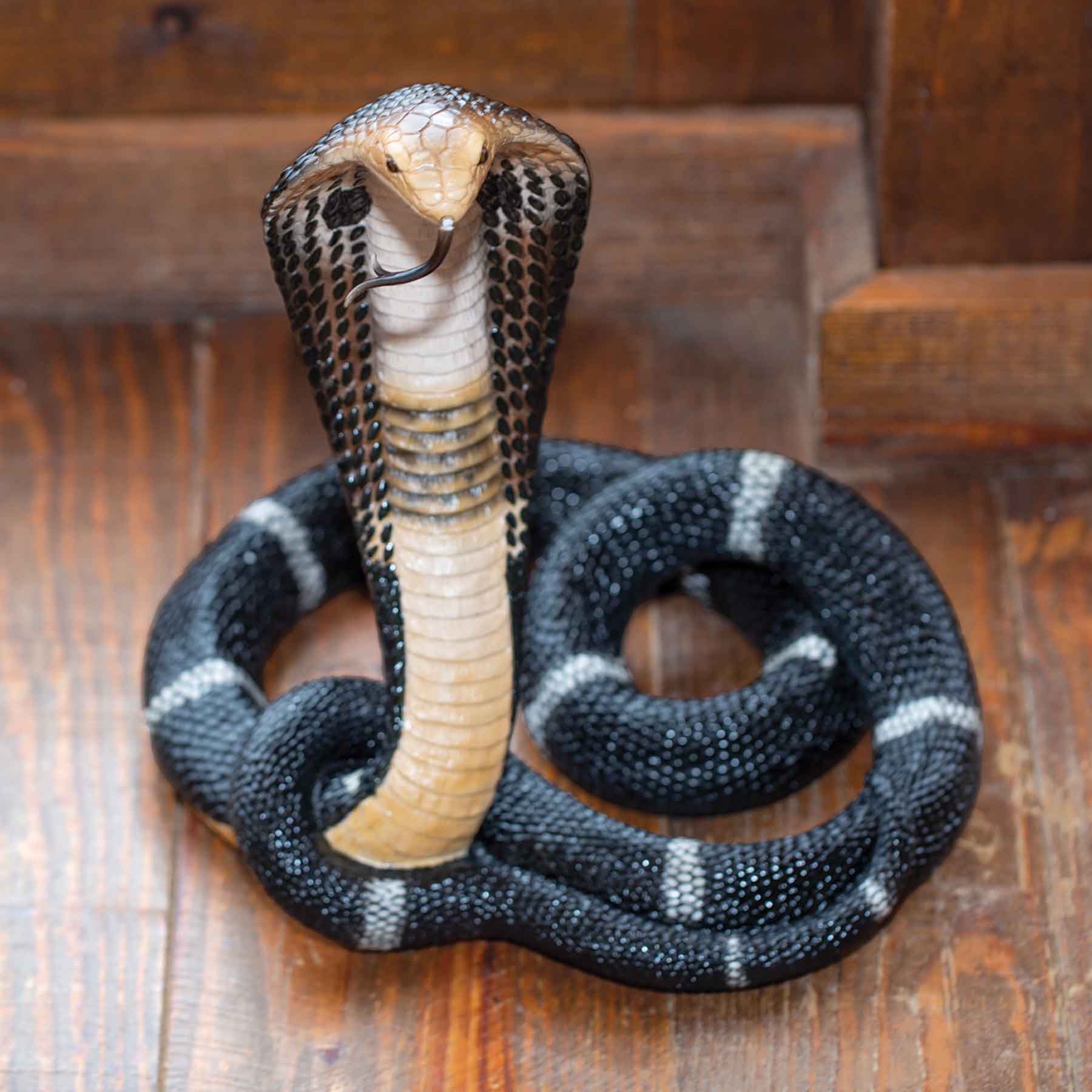 Wildlife Collection | Creations and Collections